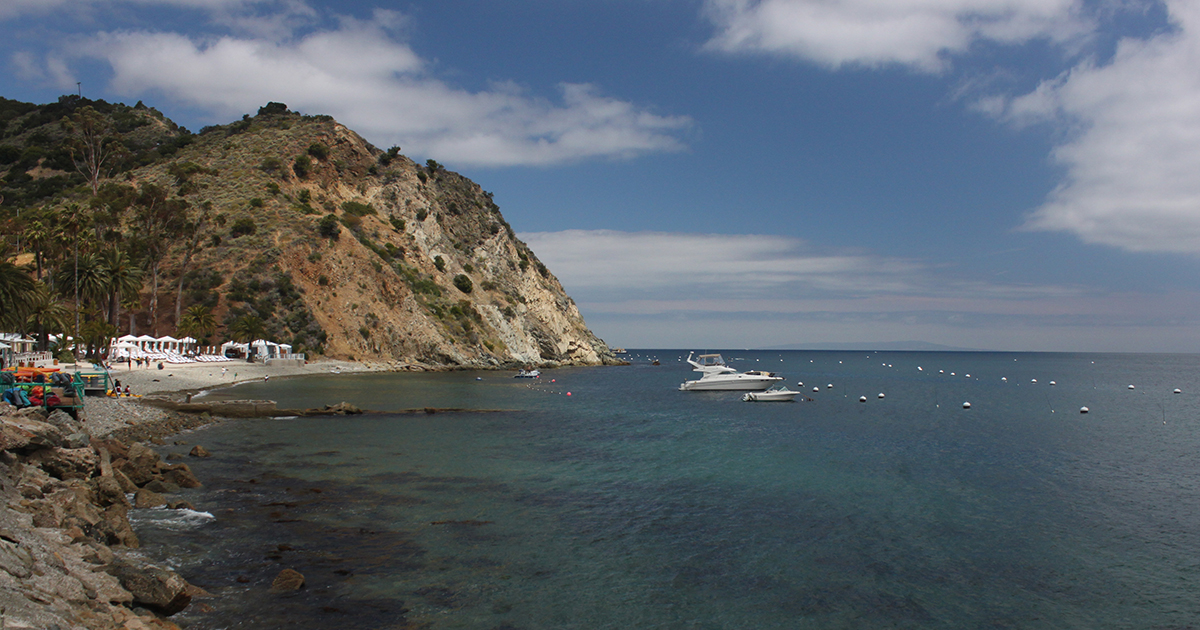 The Catalina Flying Fish Festival (Part 1)!