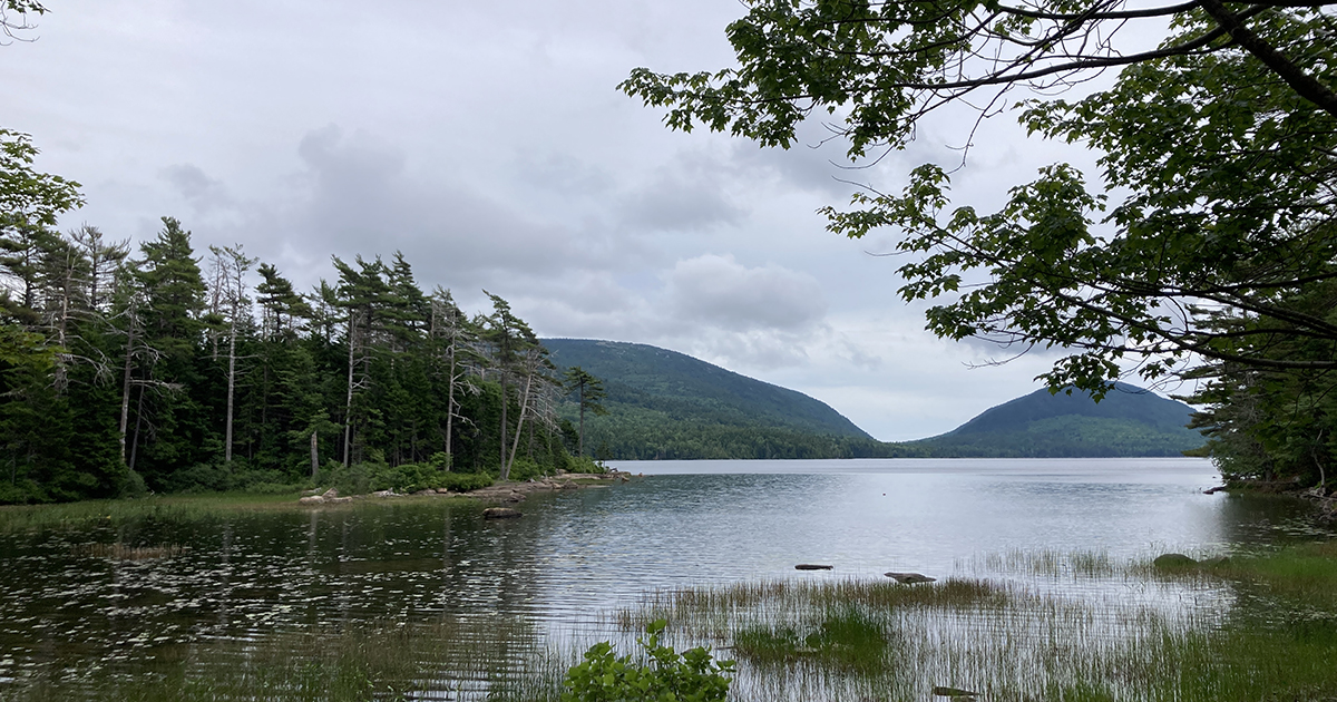 Rainy Reflections on Acadia! - The Bill Beaver Project